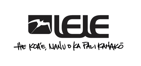 Eyeglasses Honolulu | Contact Lenses Kailua-Kona | Optical Kahului